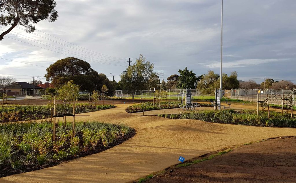 Weigall Oval Masterplan - Chris Sale Consulting